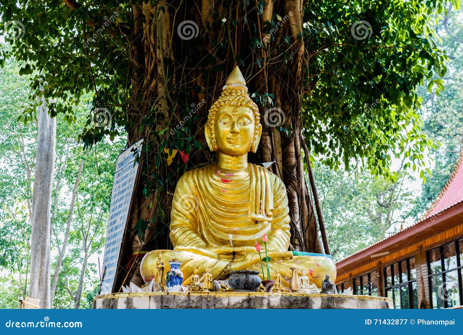 Buddha Image Under Bodhi Tree Stock Image - Image of buddhist, east ...