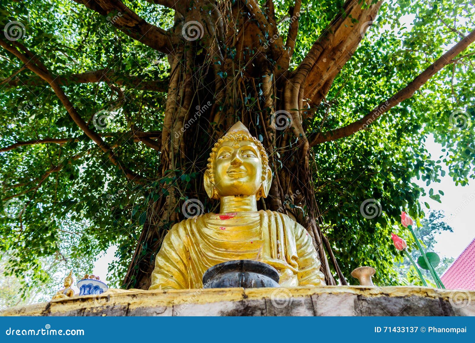 Buddha Image Under Bodhi Tree Stock Image - Image of faith ...