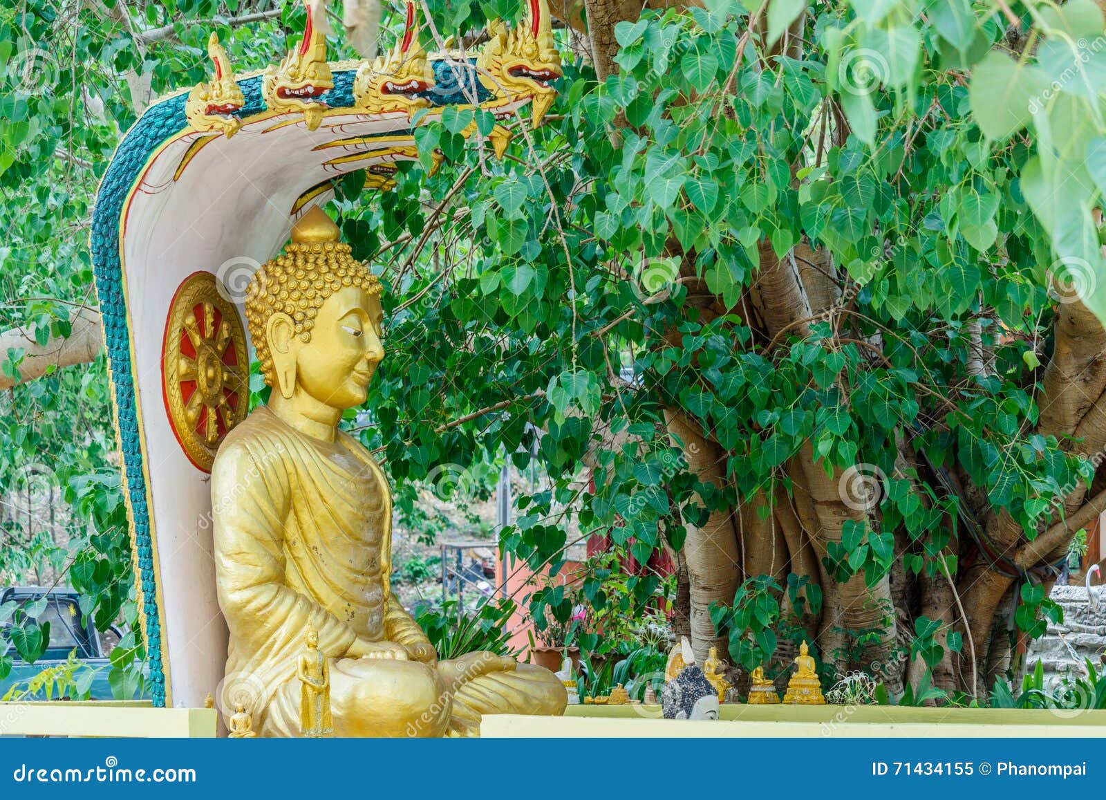 Buddha Image Under Bodhi Tree Stock Image - Image of enlightenment ...