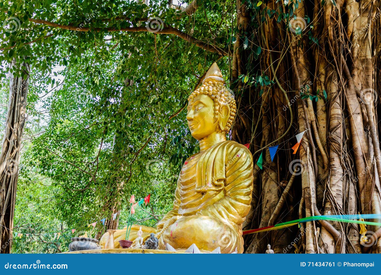 Buddha Image Under Bodhi Tree Stock Image - Image of culture ...