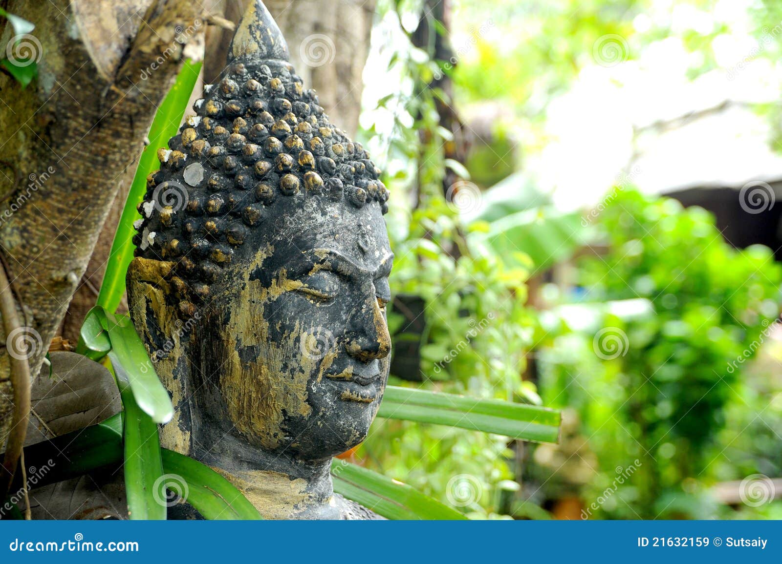 Buddha In Nature Royalty Free Stock Images - Image: 21632159