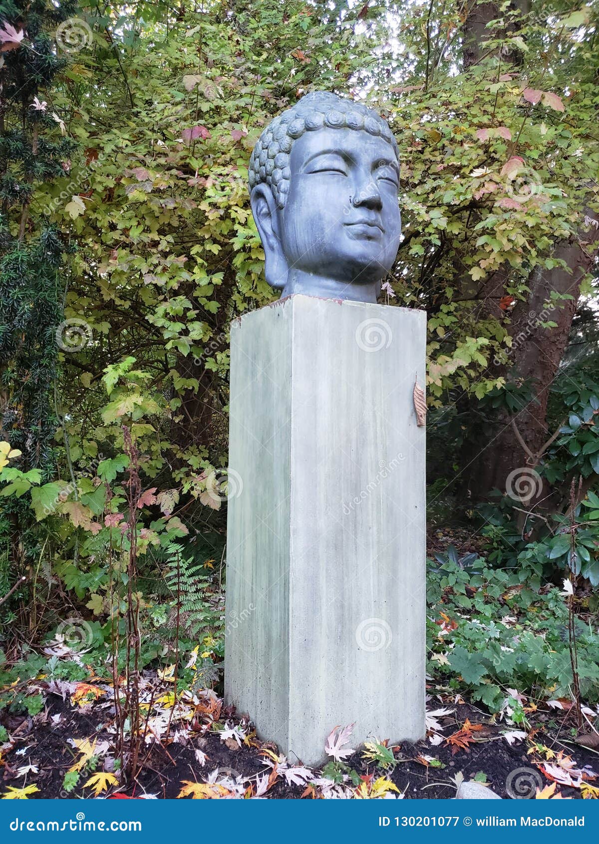 Buddha in nature stock image. Image of colors, nature - 130201077