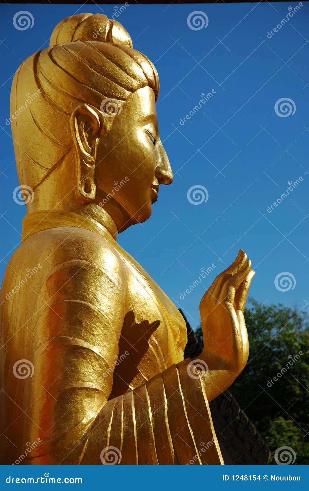 Buddha Profile stock photo. Image of buddhist, profile - 1248154