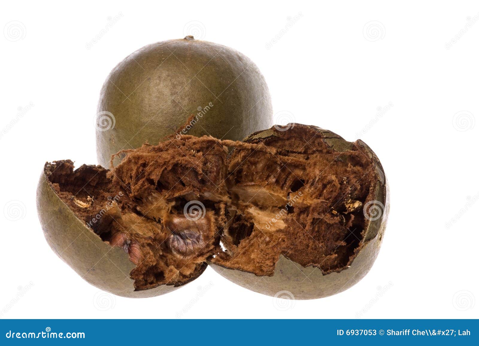 Buddha s Fruit stock image. Image of juice, plant, food - 6937053