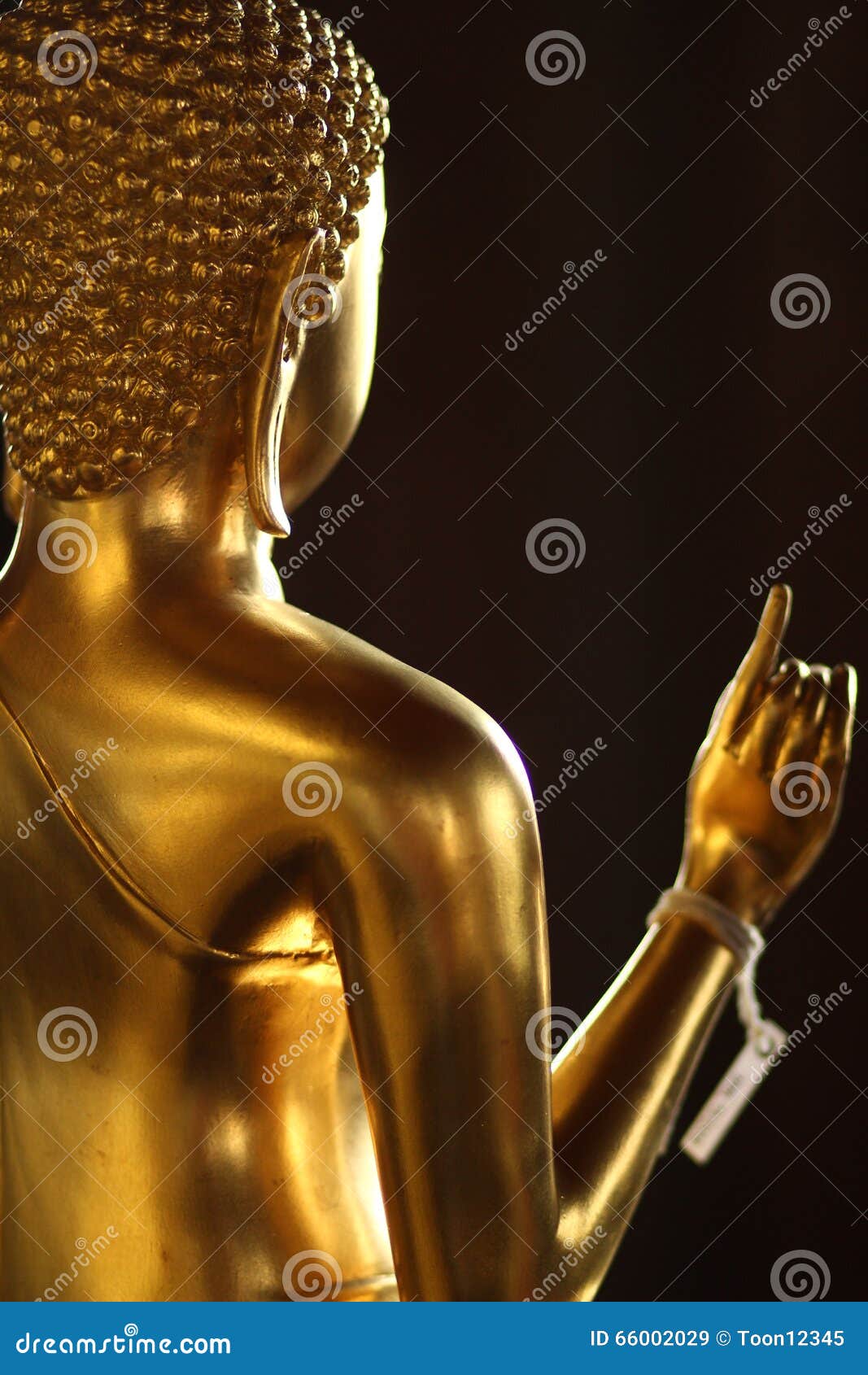 Buddha s hand stock image. Image of bowl, boys, alloy - 66002029