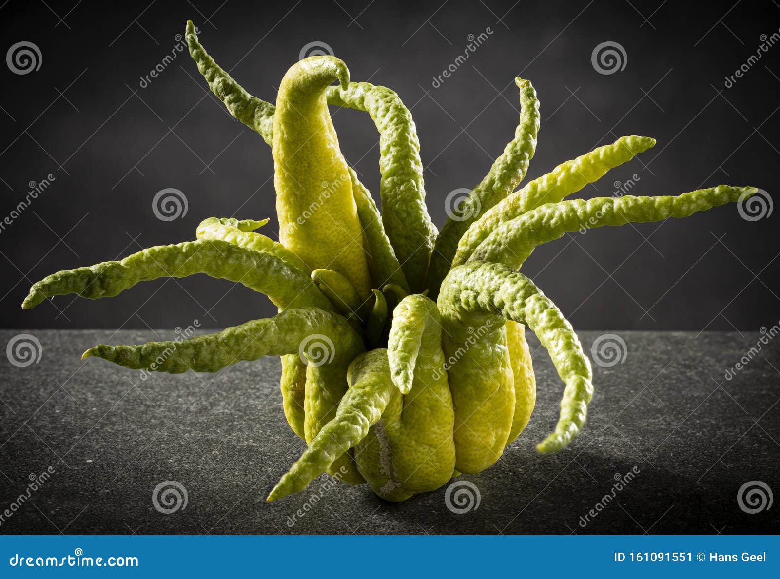 Buddha`s Hand Fingered Citron Fruit Stock Image - Image of china, lemon ...