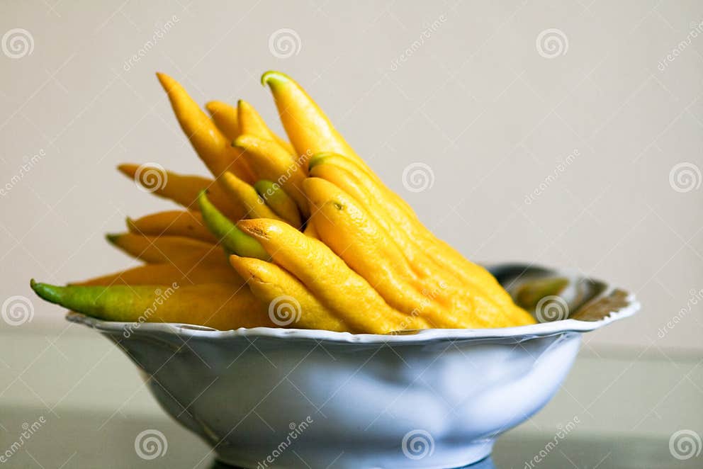 Buddha s Hand Lemon stock photo. Image of citron, porcelain - 14472808