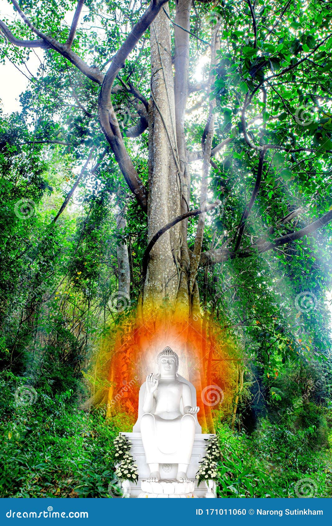 .the Buddha Sat Under the Tree Stock Photo - Image of india, buddah ...