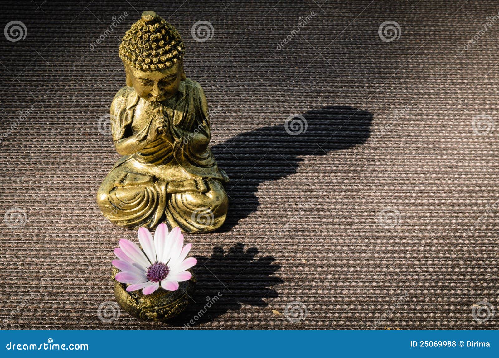 Buddha and shadow stock photo. Image of equilibrium, peaceful - 25069988