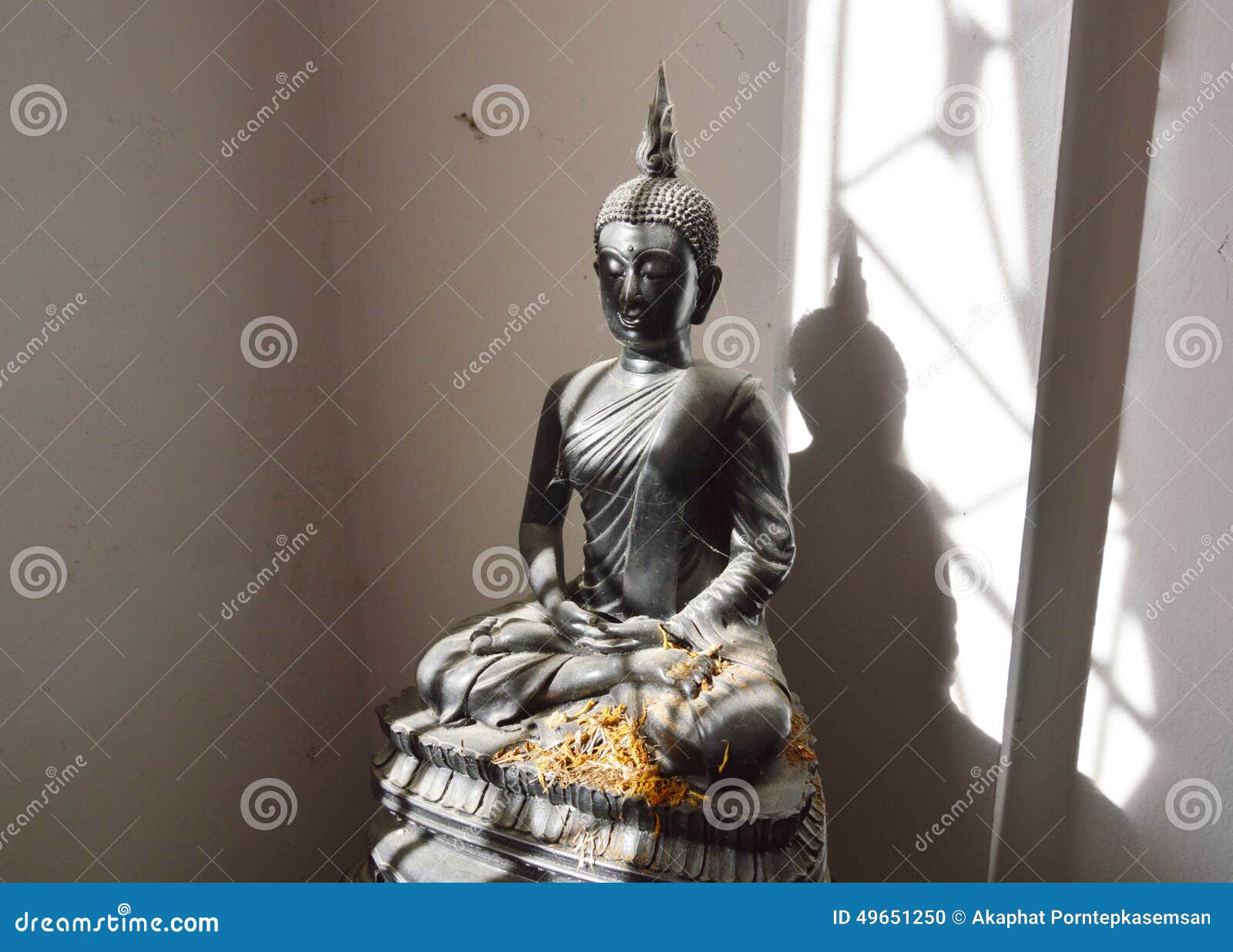 Buddha on the shadow stock photo. Image of shadow, religion - 49651250