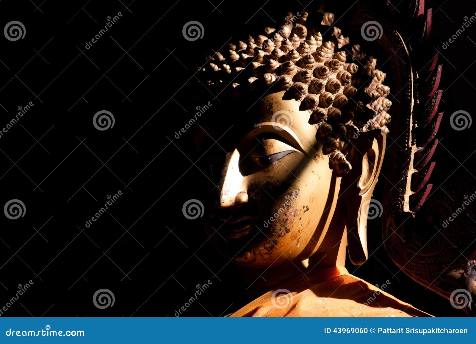 Buddha in shadows stock photo. Image of golden, buddha - 43969060