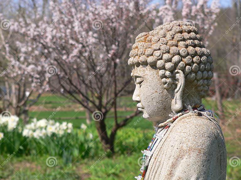 Buddha: spring garden stock photo. Image of flowers, asian - 23726650