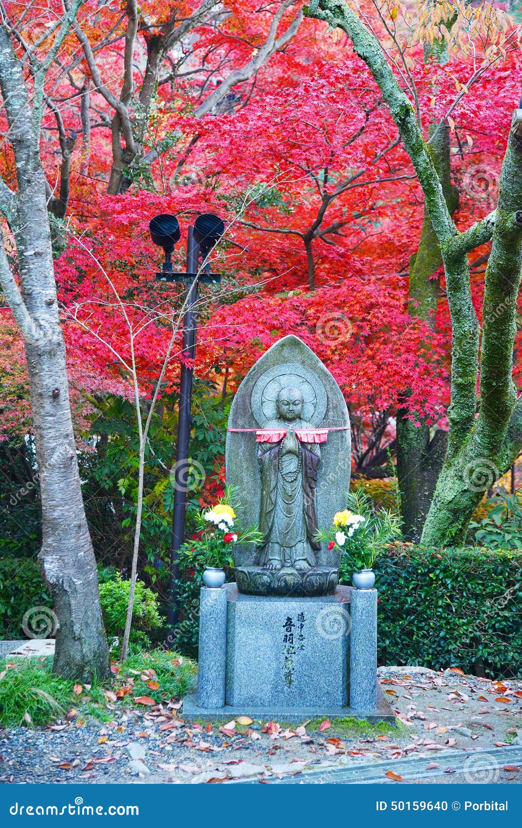 Buddha statue in autumn stock photo. Image of faith, tree - 50159640