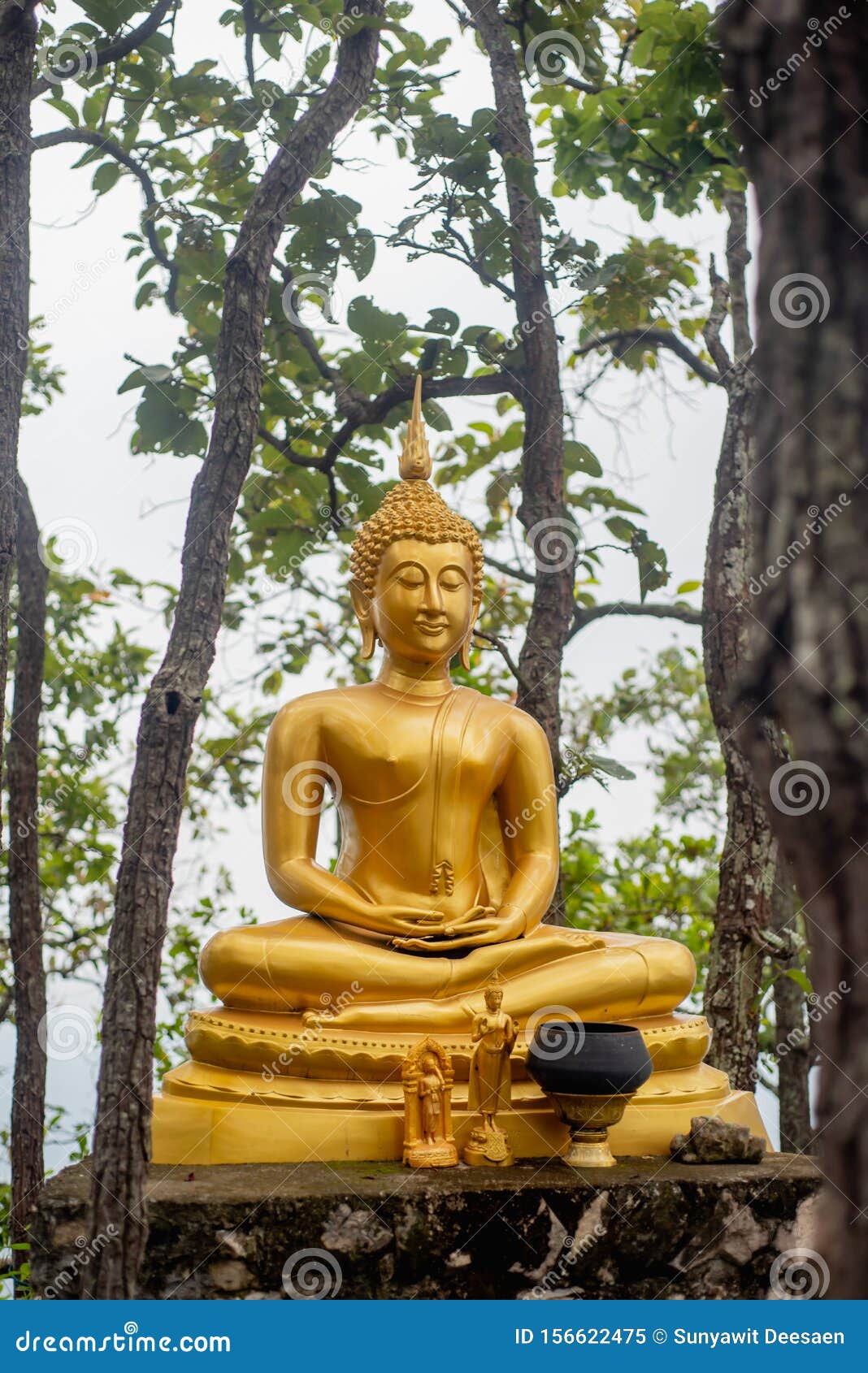 Buddha statue the forest stock image. Image of bowl - 156622475