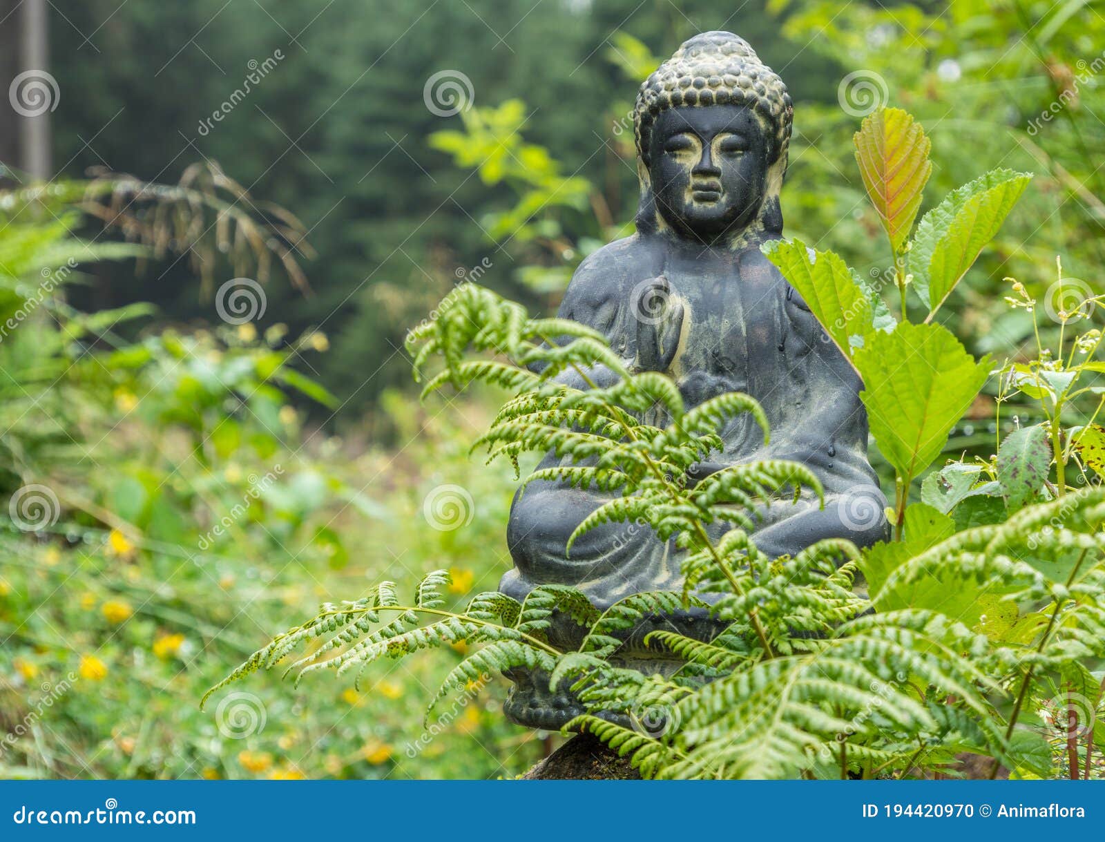 Buddha Statue in the Forest Stock Photo - Image of peace, fern: 194420970