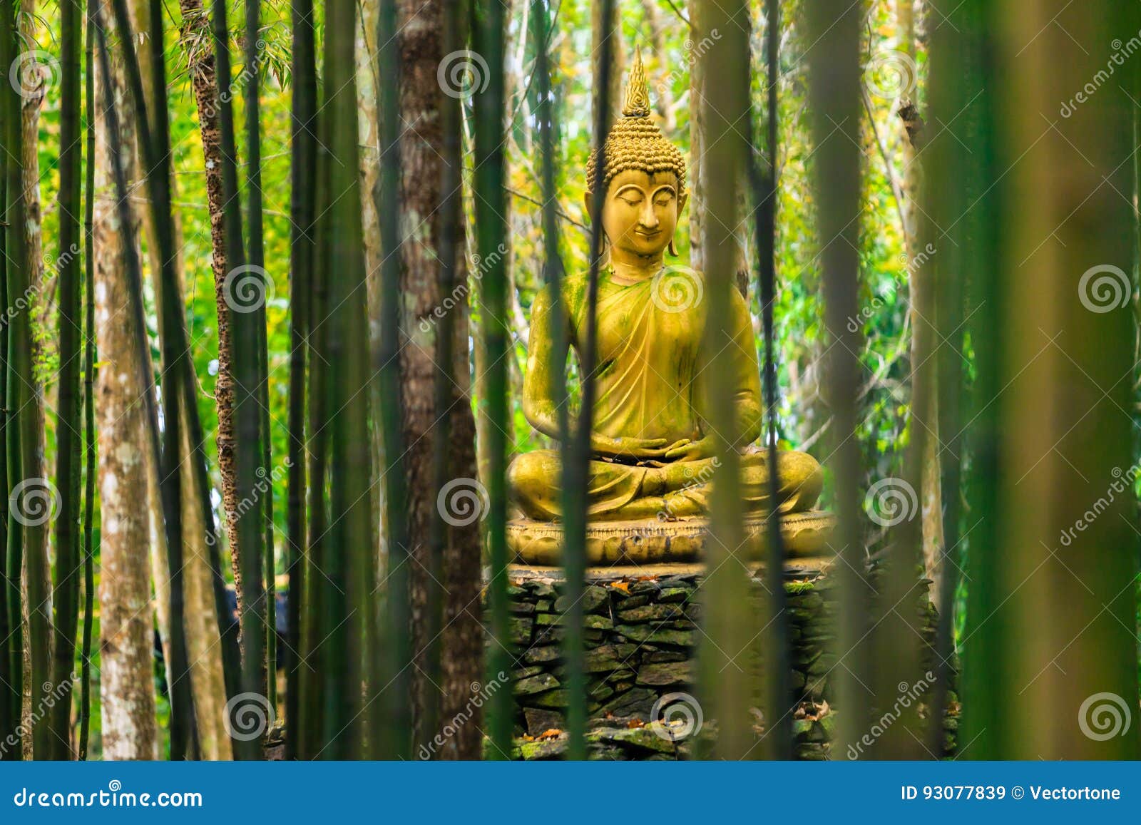 Buddha statue in forest. stock image. Image of meditation - 93077839