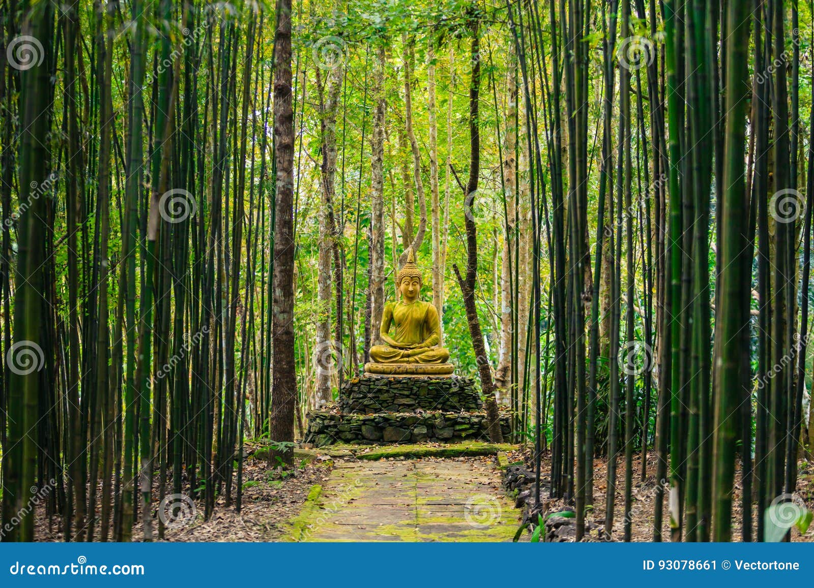 Buddha statue in forest. stock image. Image of park, meditate - 93078661