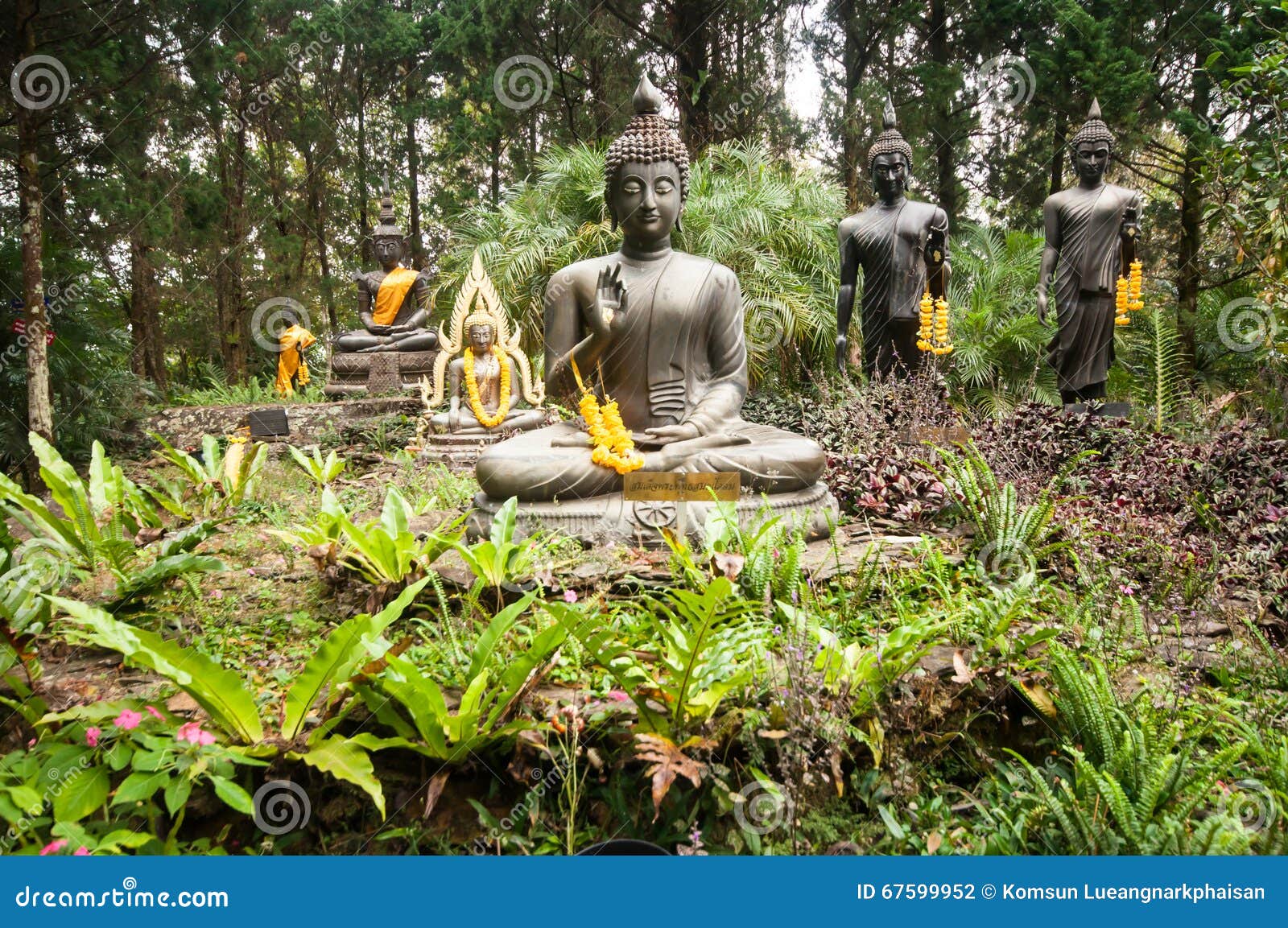 Buddha statue in forest stock photo. Image of peaceful - 67599952