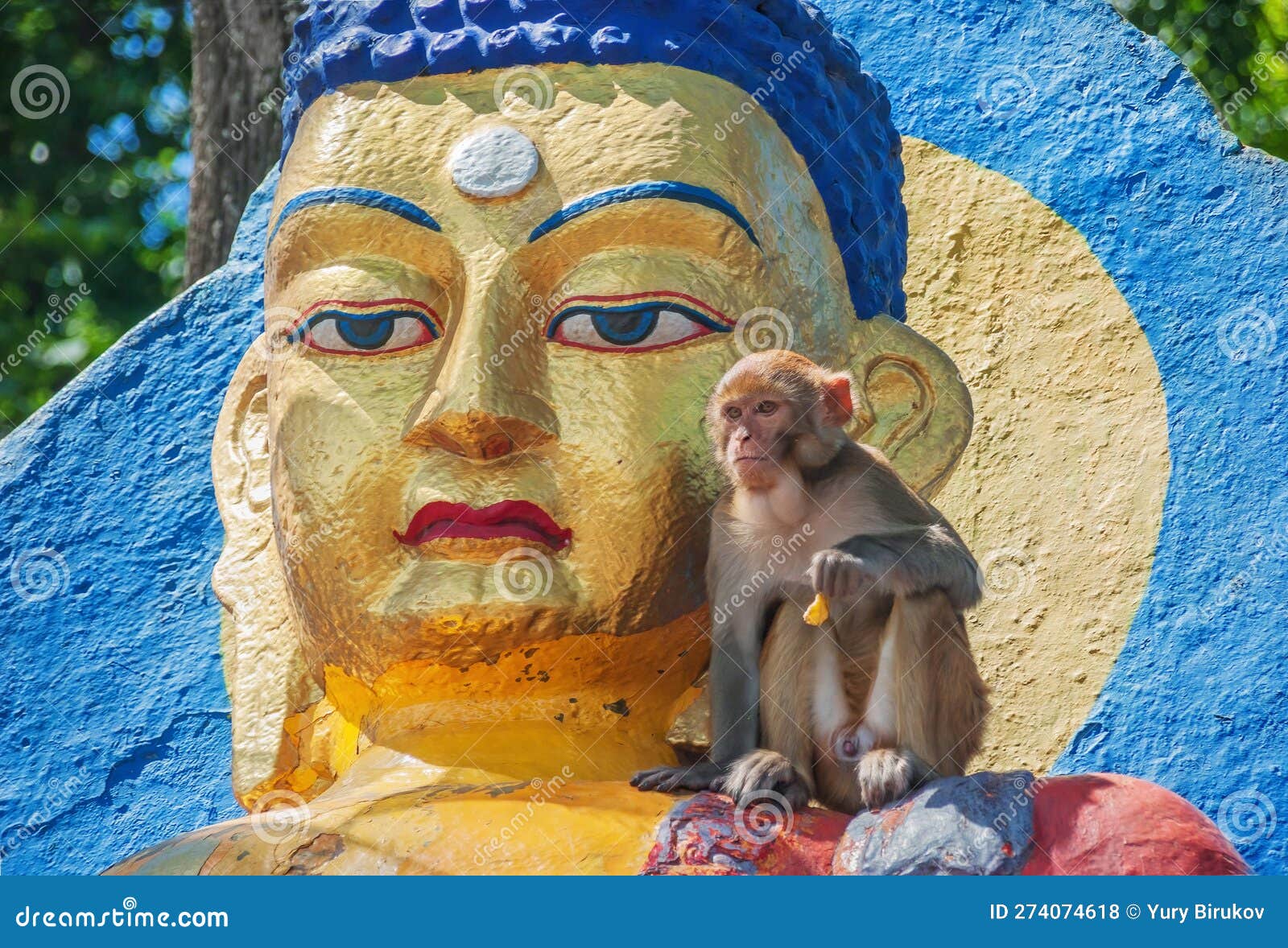 Buddha Statue with Monkey in Nepal. Kathmandu Stock Photo - Image of ...