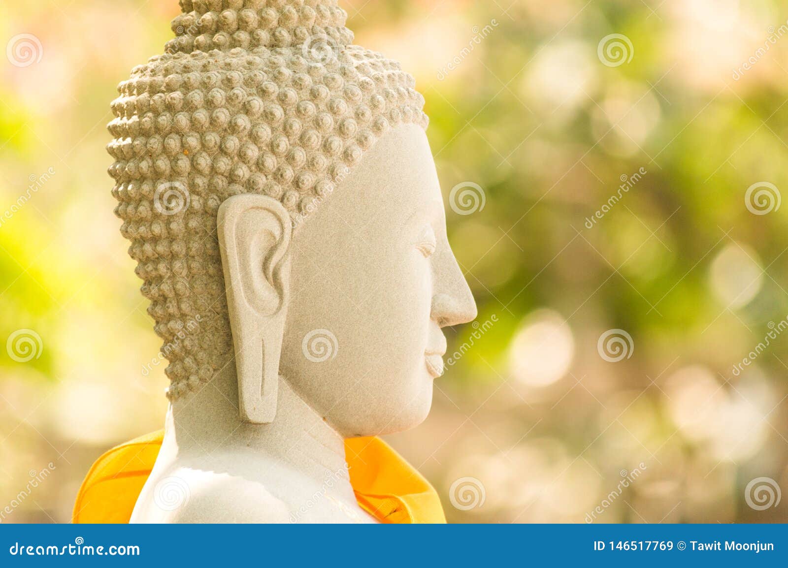 The Buddha Statue with Nature Background Stock Image - Image of ...