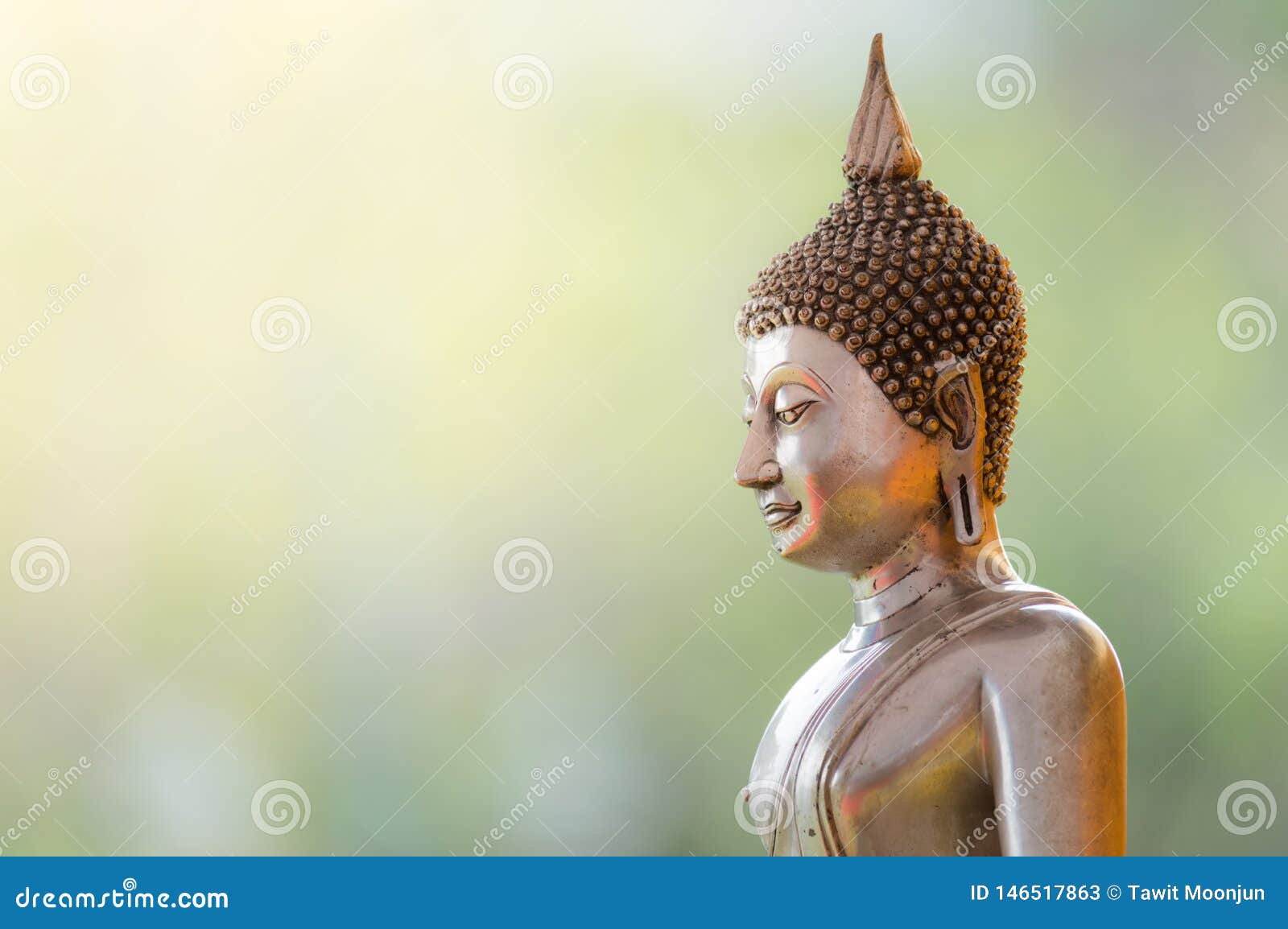 The Buddha Statue with Nature Background Stock Image - Image of ...