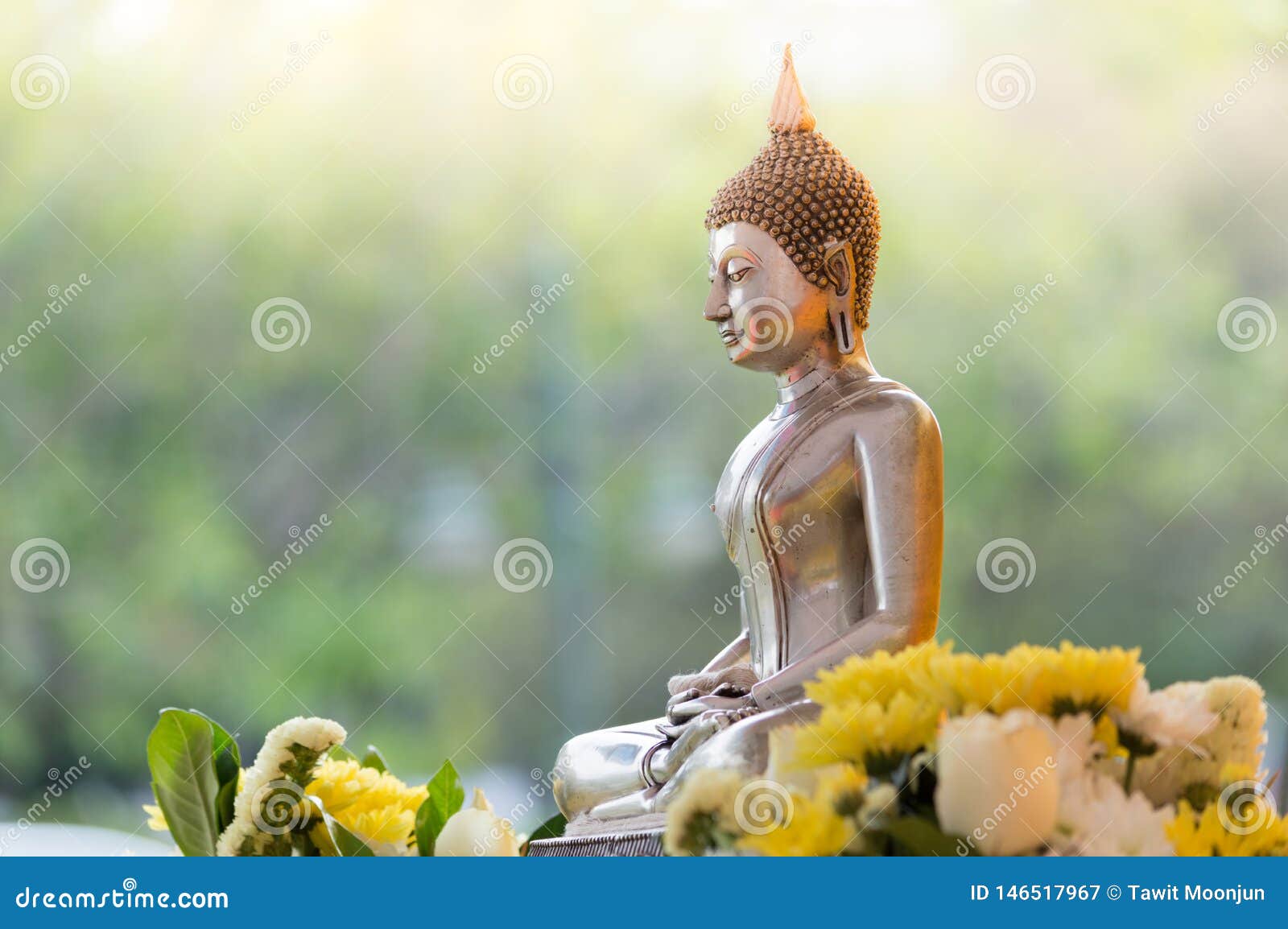 Buddha Statue with Nature Background Stock Image - Image of beautiful ...