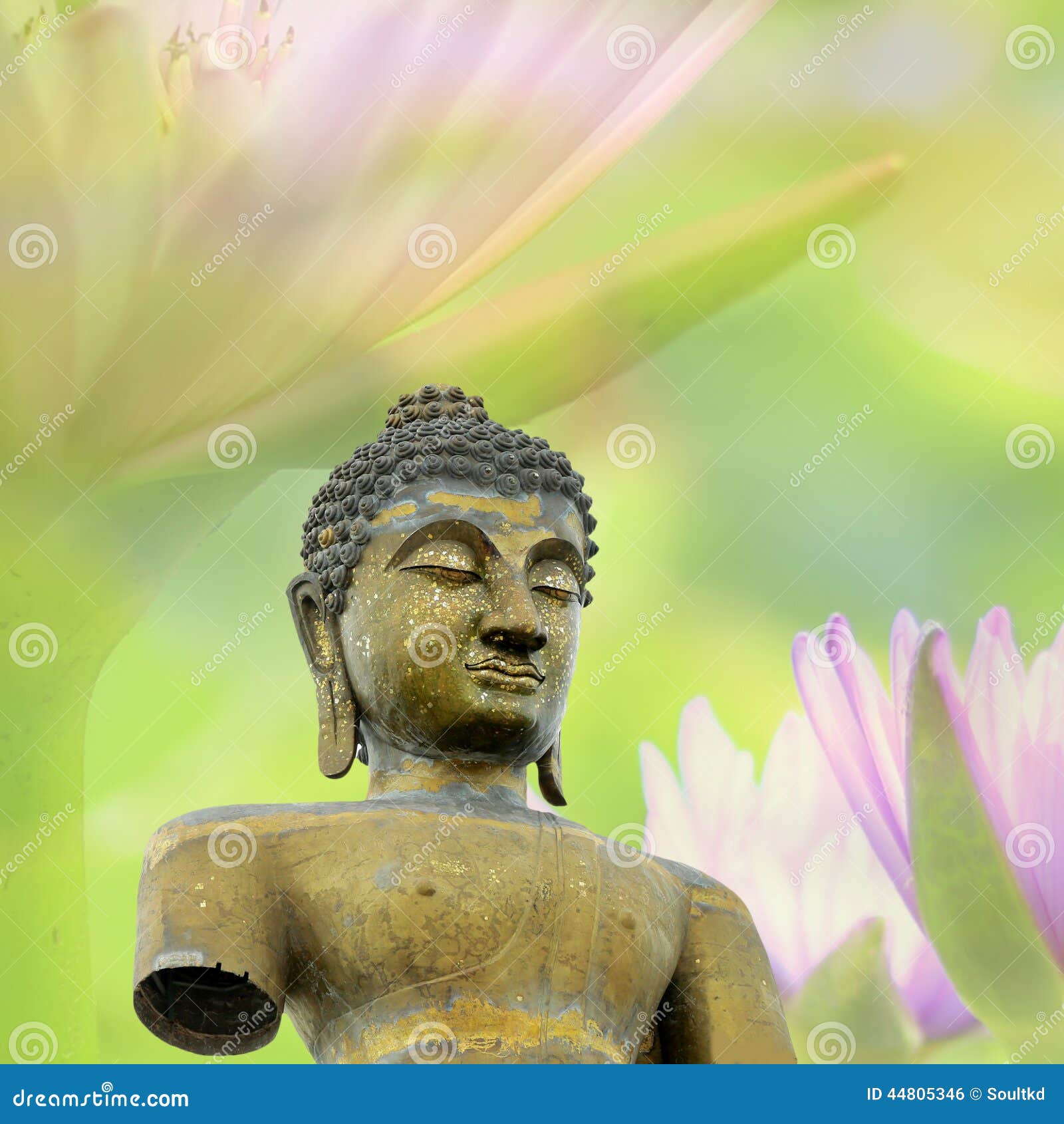 Buddha statue stock photo. Image of side, face, head - 44805346