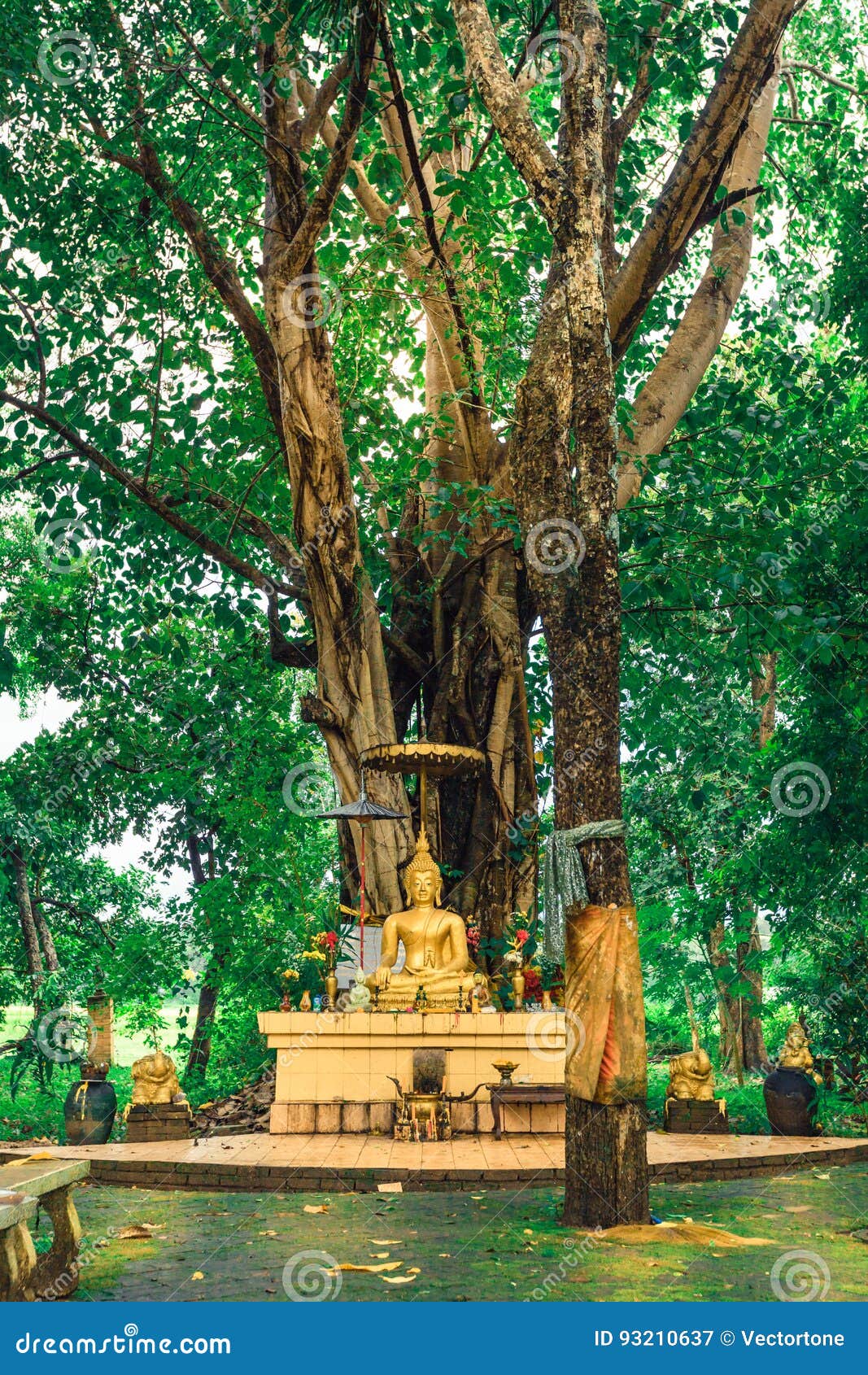 Buddha Statue Sitting Under the Big Tree. Stock Image - Image of nature ...