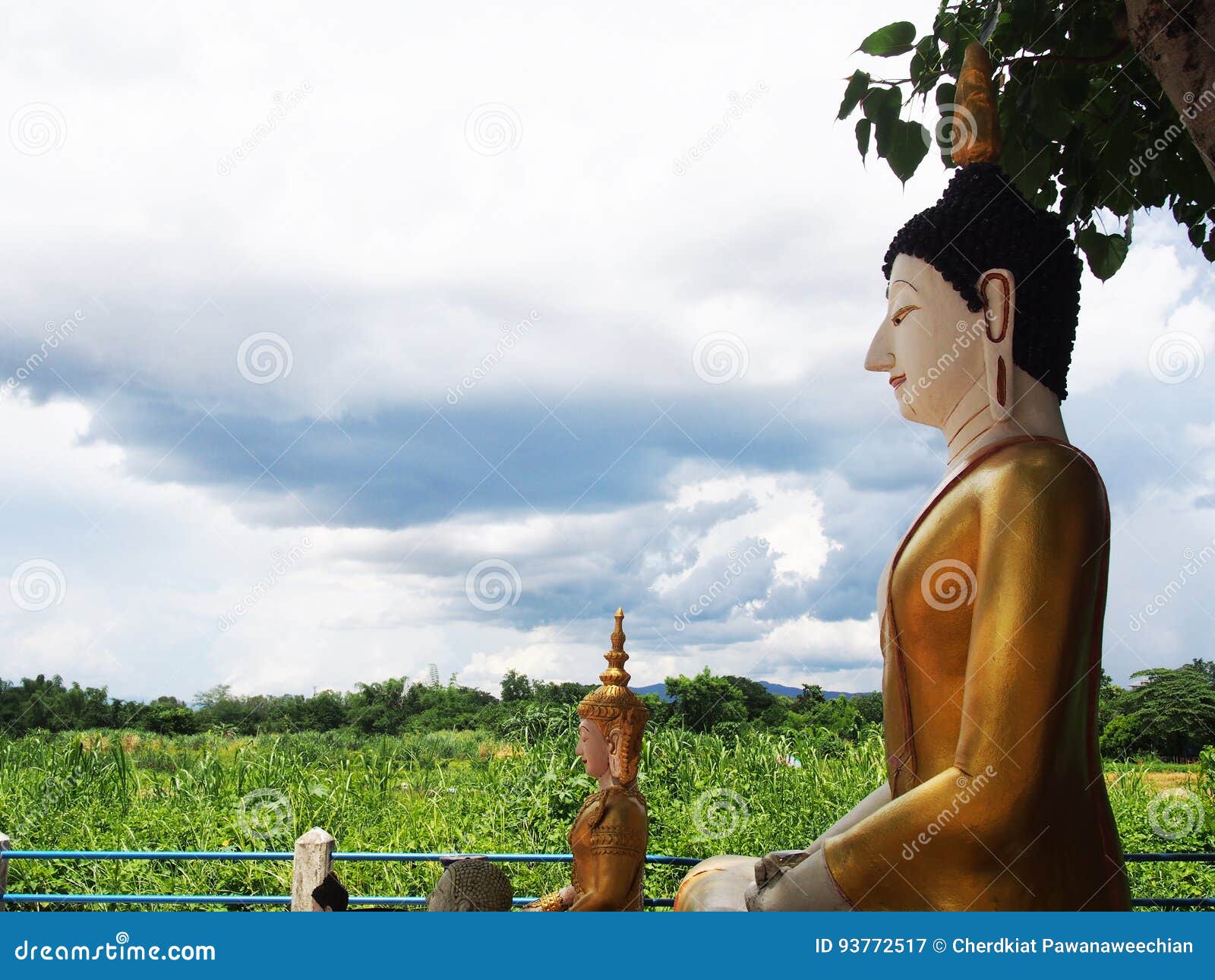 Buddha Statue Sitting Under Bodhi Tree with Blue Sky Background Stock ...
