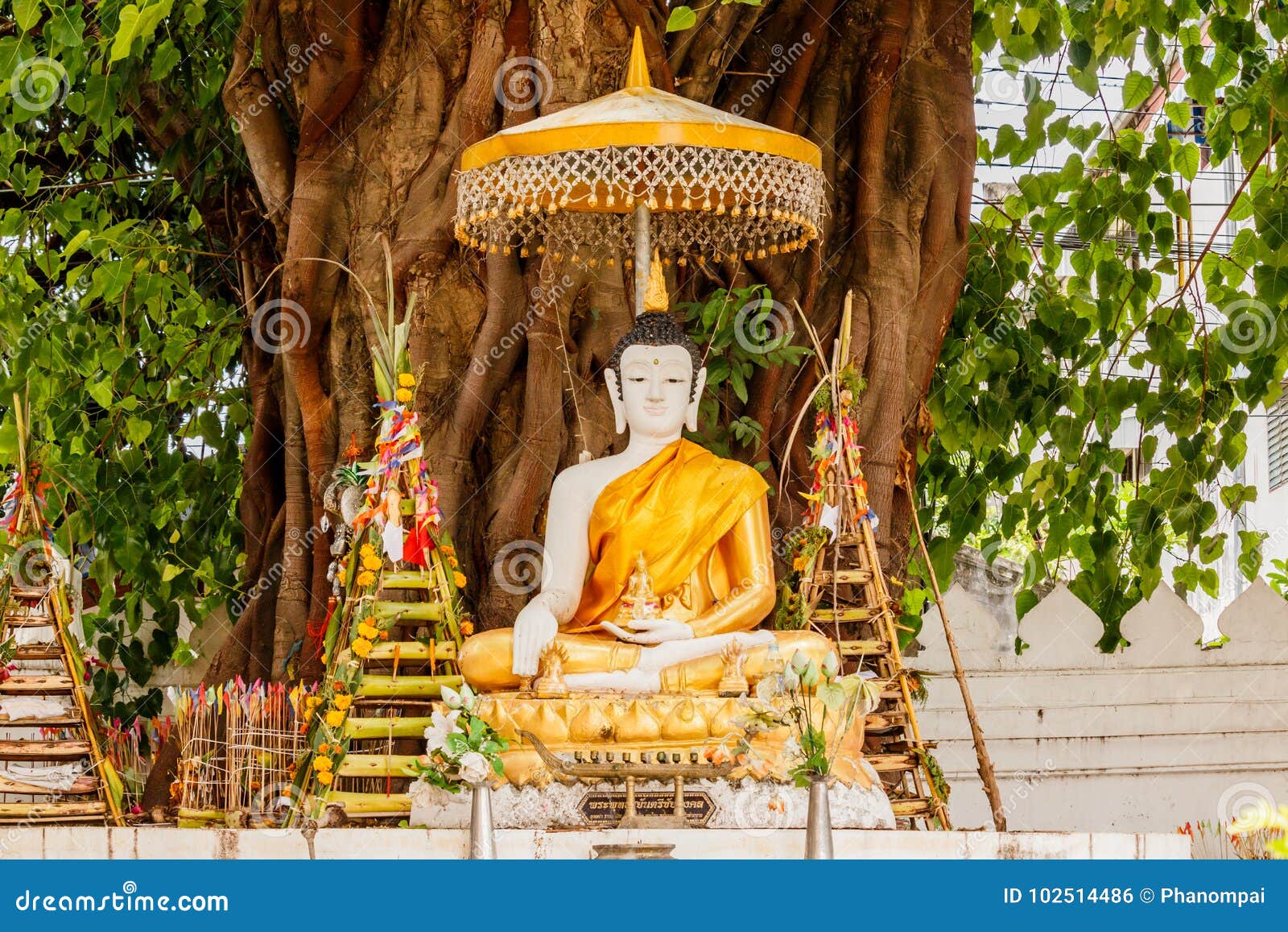Buddha Statue Sitting Under Bodhi Tree Editorial Photo - Image of ...