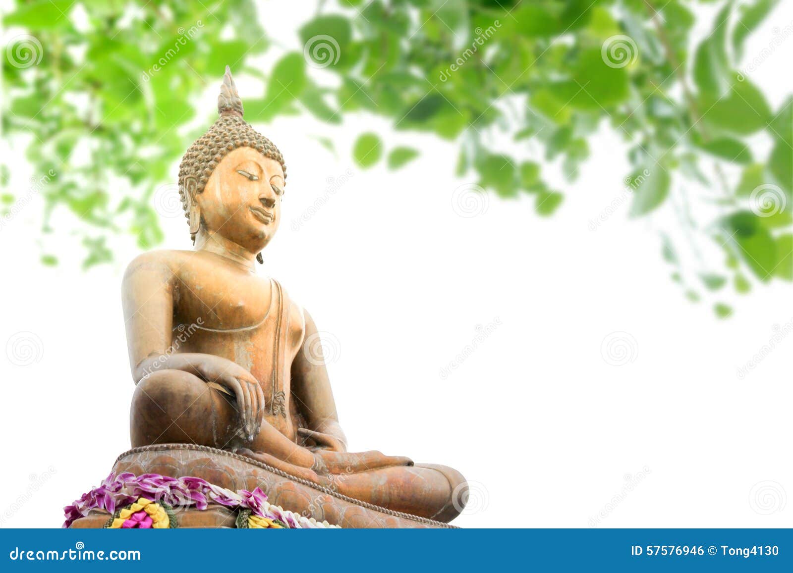 Buddha Statue Under the Bodhi Tree Stock Photo - Image of asia, peace ...