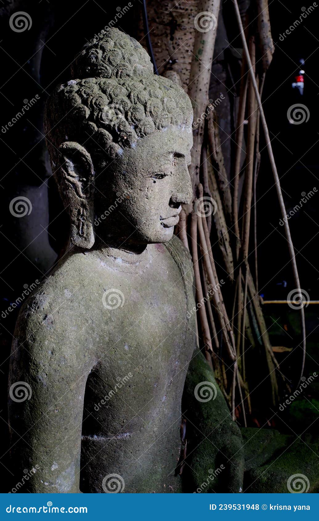 A Buddha Statue Under the Giant Pandanus Tree Stock Photo - Image of ...