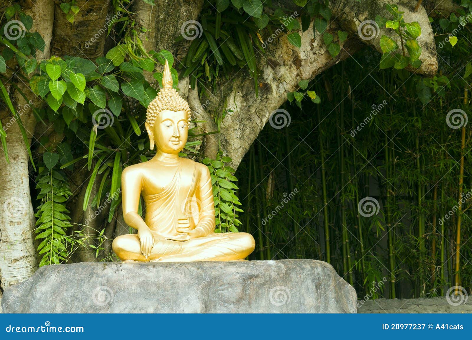 Buddha Statue Under Green Tree Stock Image - Image of thailand ...