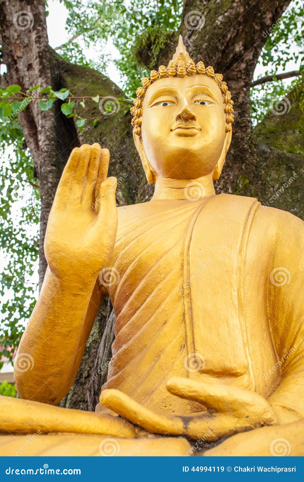 Buddha Statue Under Po Tree in Thai Temple Stock Image - Image of ...