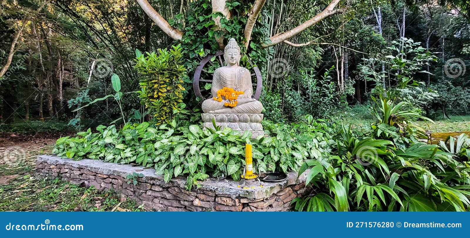 Buddha statue stock photo. Image of tropical, mountain - 271576280