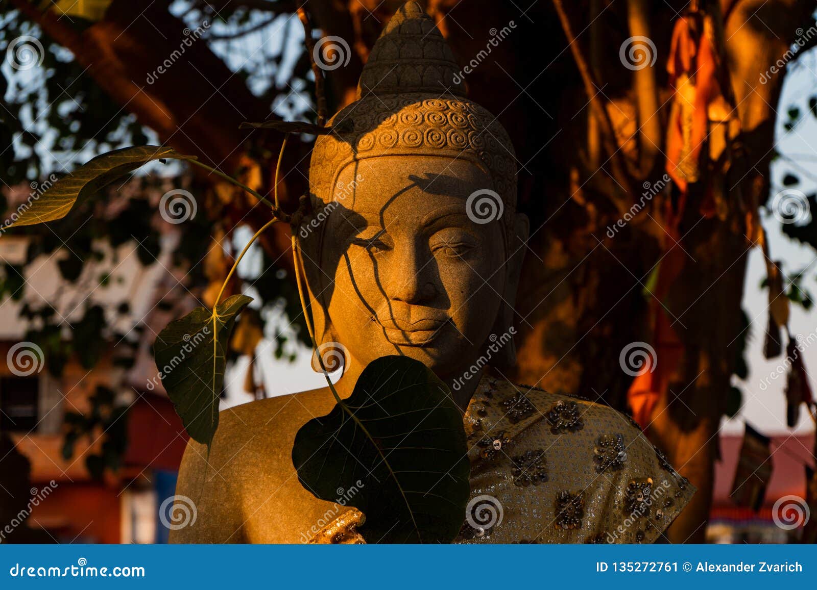 Buddha Statue Under the Tree Stock Image - Image of india, buddhist ...