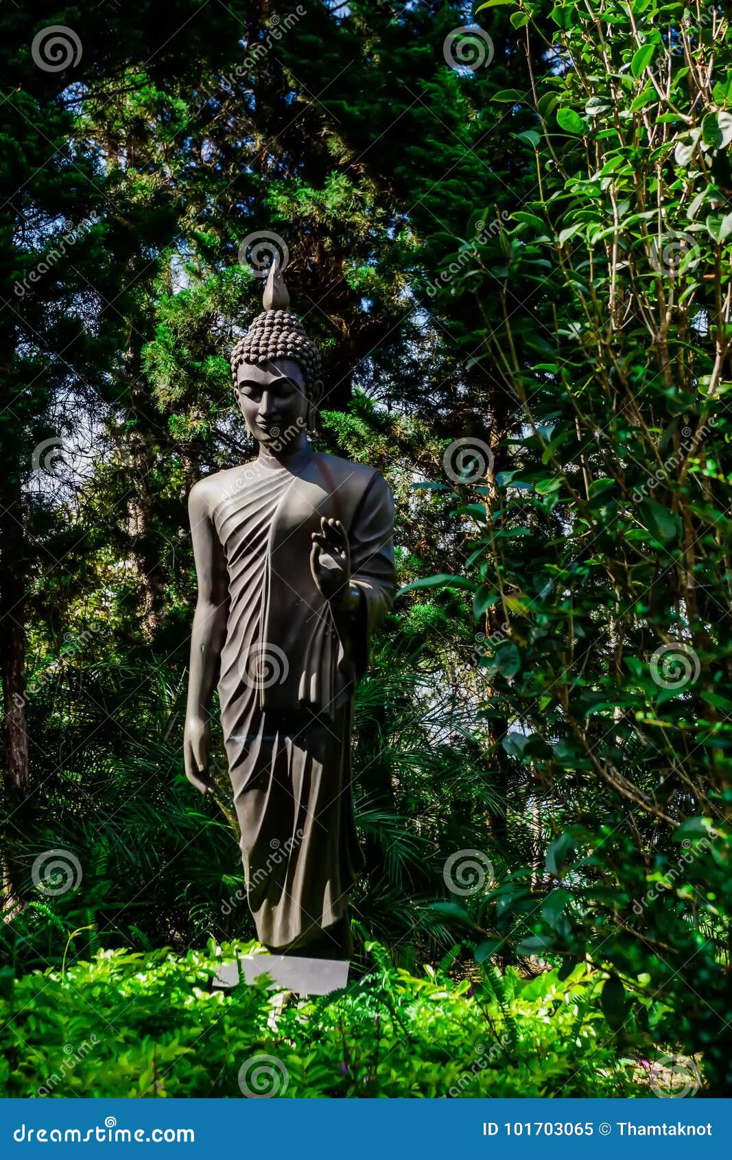 Buddha Statues Stand among the Trees in the Background. Stock Image ...