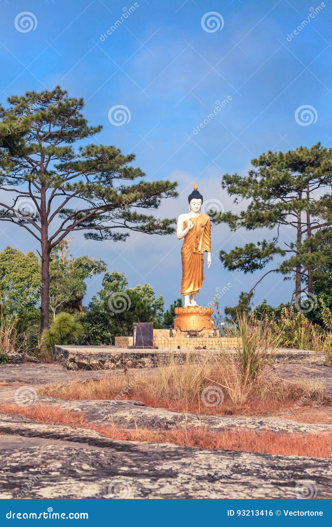 Buddha Statues Standing in an Open Space. Stock Photo - Image of nature ...