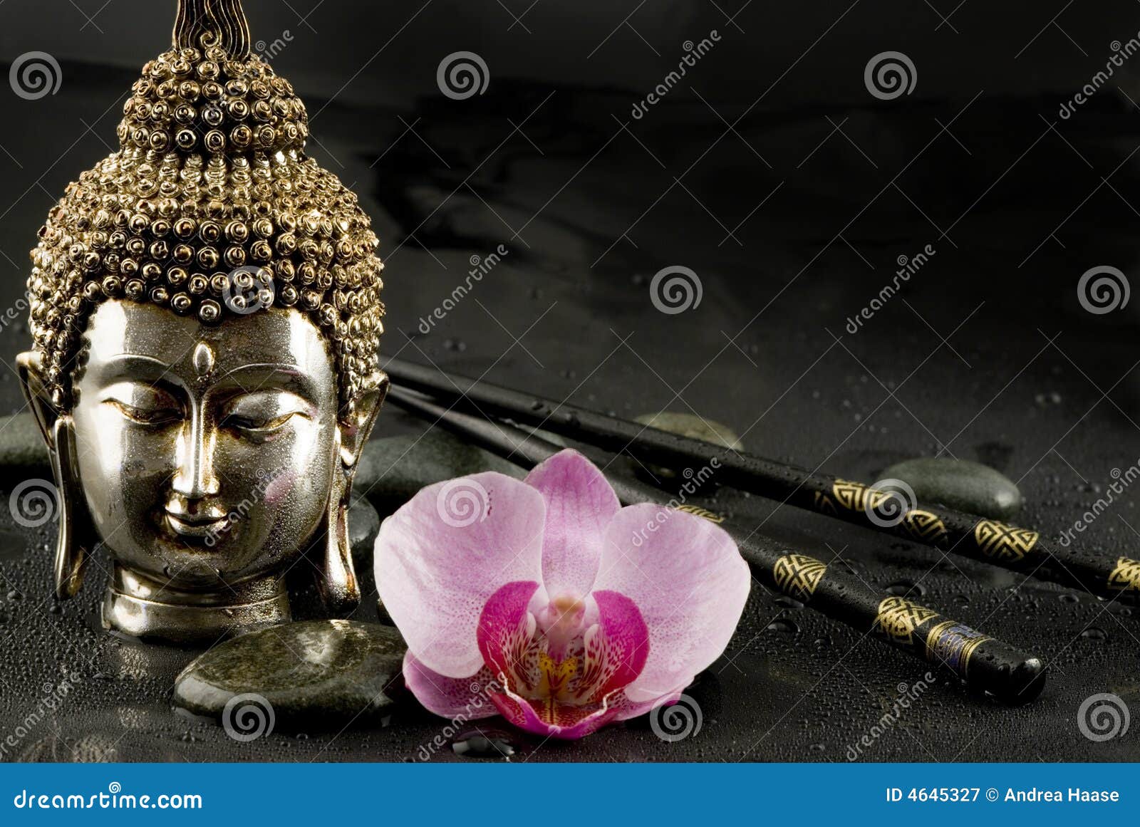 Buddha still life stock image. Image of buddha, fragile - 4645327