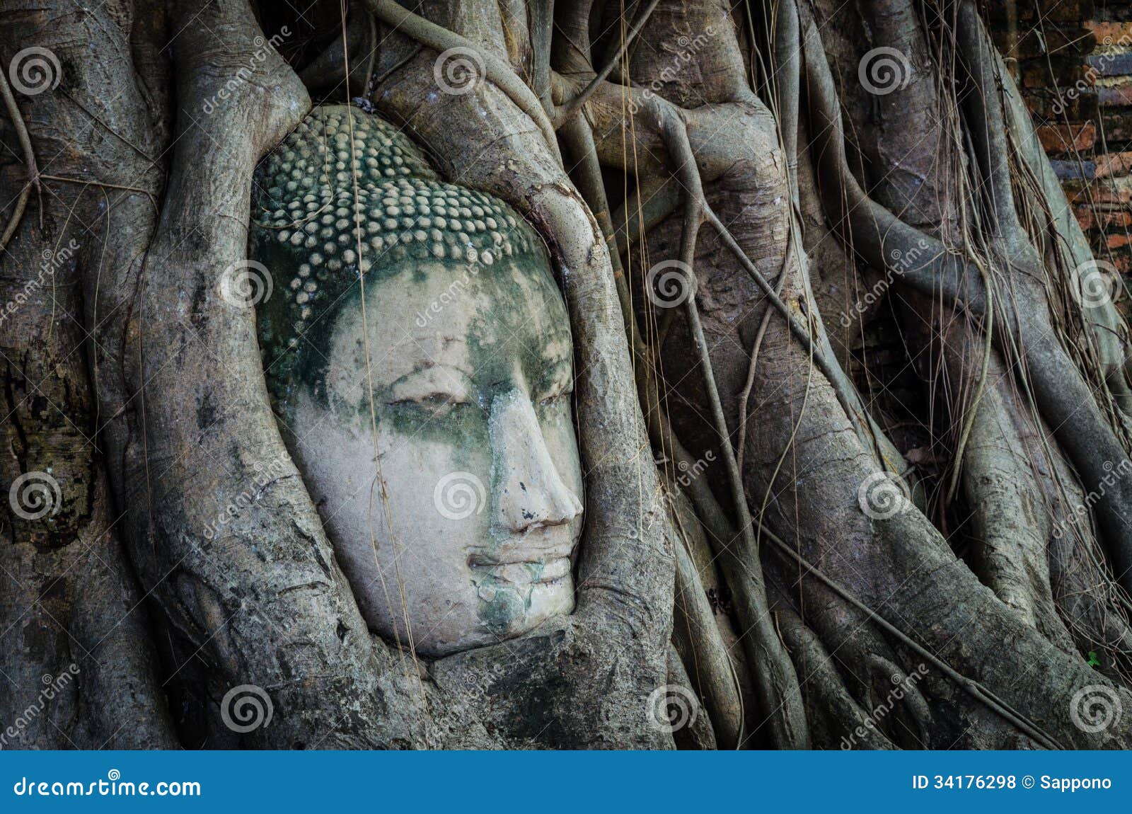 Buddha in a Tree stock photo. Image of bangkok, faith - 34176298