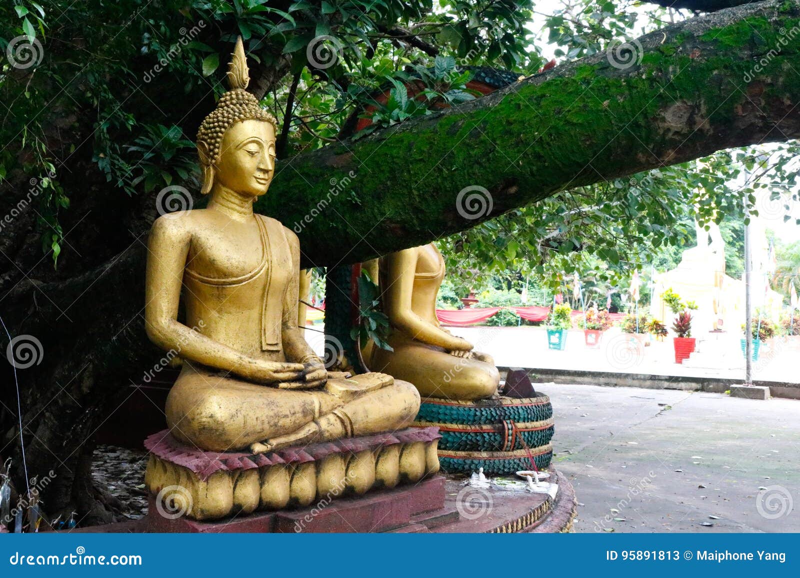 Buddha Under Bo Tree in Lao Temple, Laos Stock Image - Image of shiny ...
