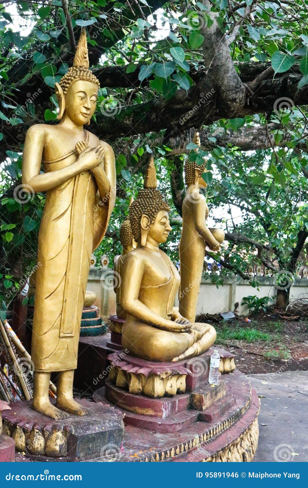 Buddha Under Bo Tree in Lao Temple, Laos Stock Photo - Image of market ...