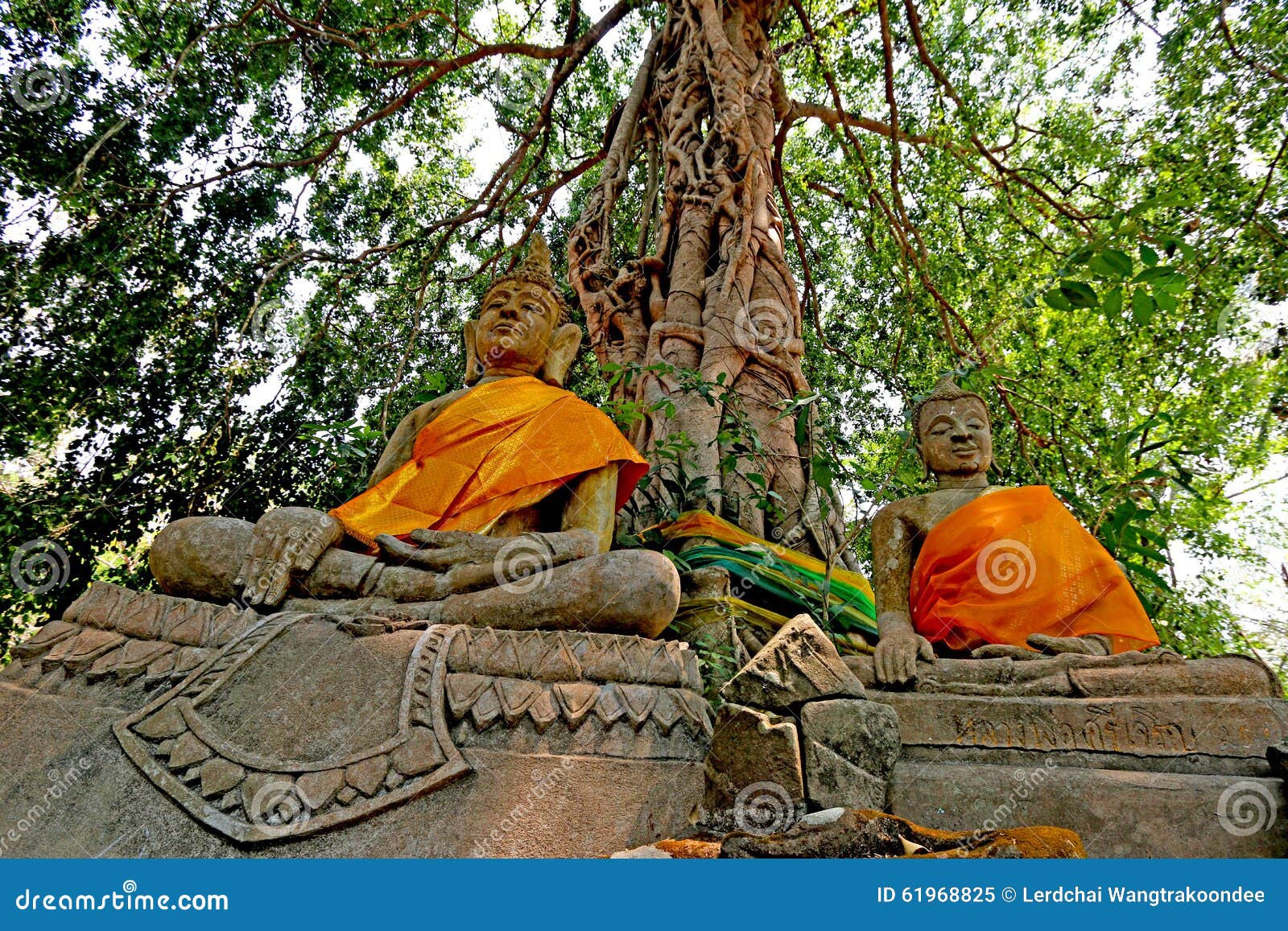 Buddha under the tree stock image. Image of thailand - 61968825