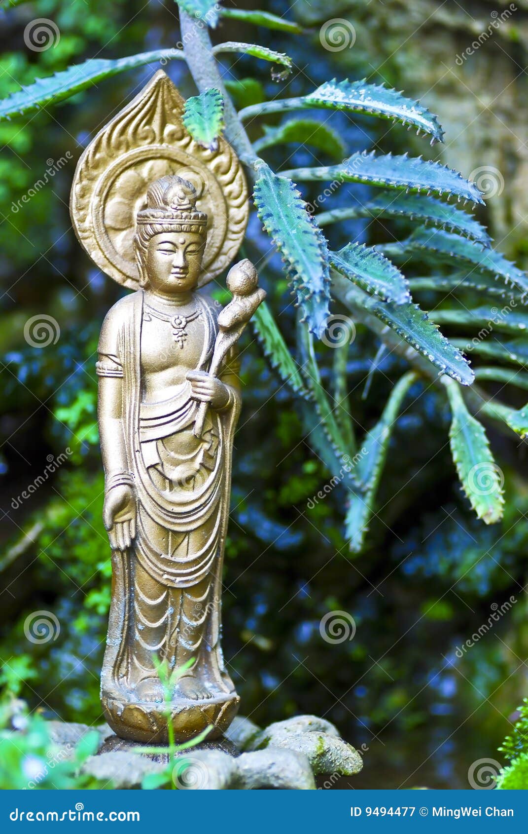 Buddha Zen Series 01 stock image. Image of harmony, shrine - 9494477