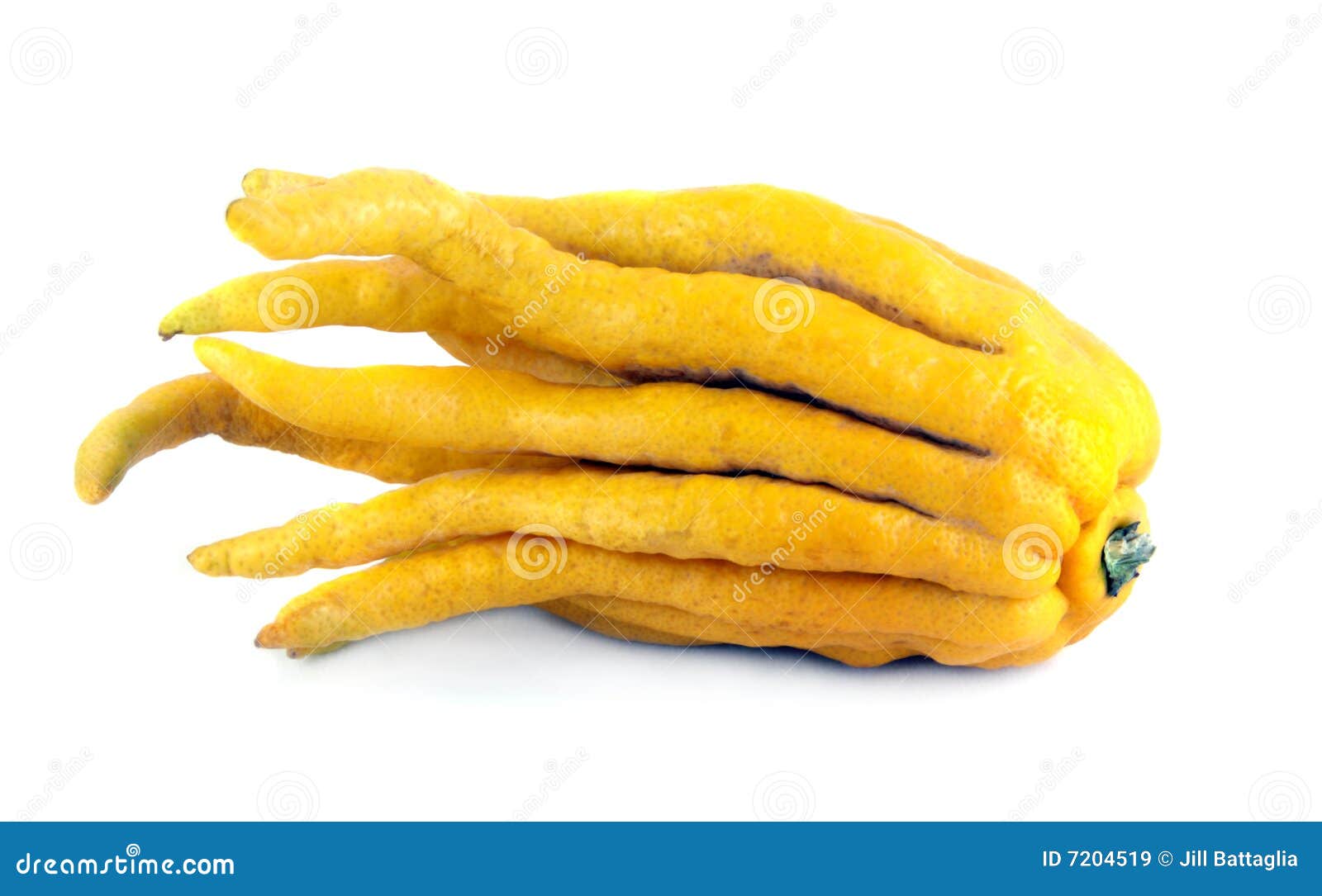 Buddhas Hand Lemon Royalty Free Stock Images - Image: 7204519