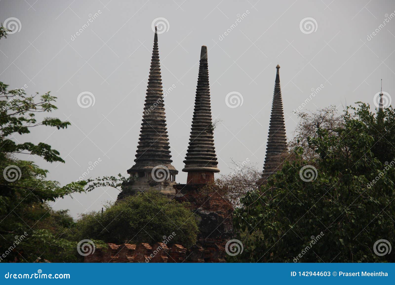 Ancient Round and Bell Shape Pagodas with Green Leaves Stock Image ...