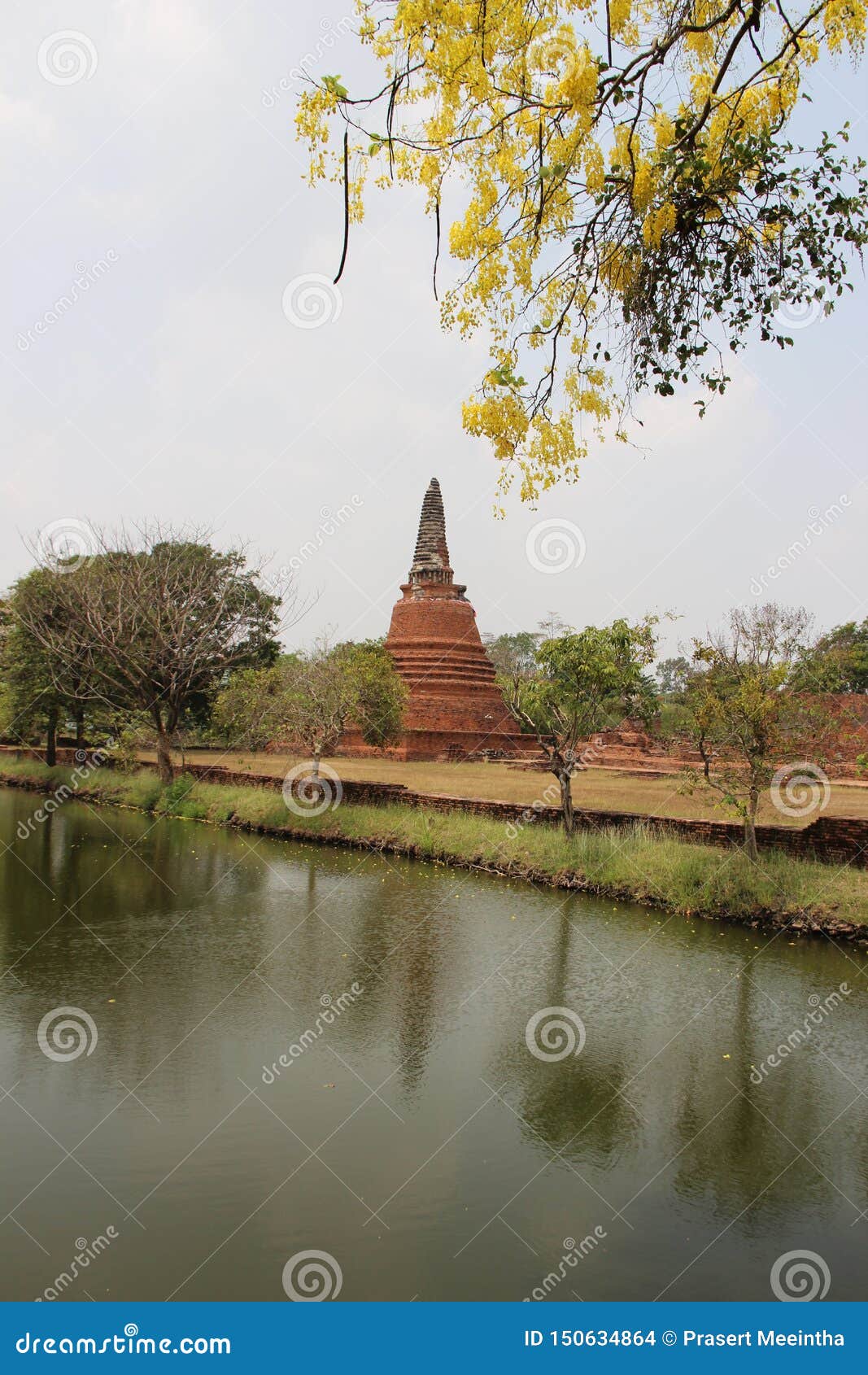 View. Old Bell Inverted Shape Pagoda with Cassia Fistula Flowers Stock ...