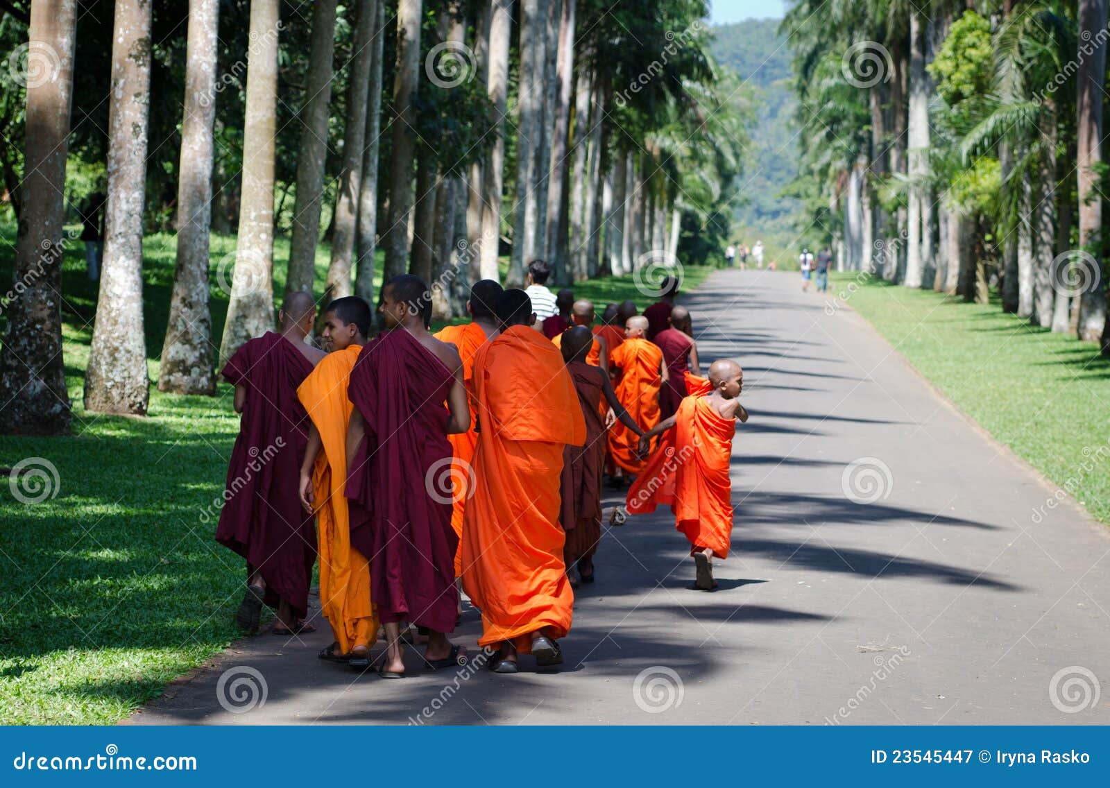 Buddhism Children Monks in a Park Editorial Photography - Image of ...