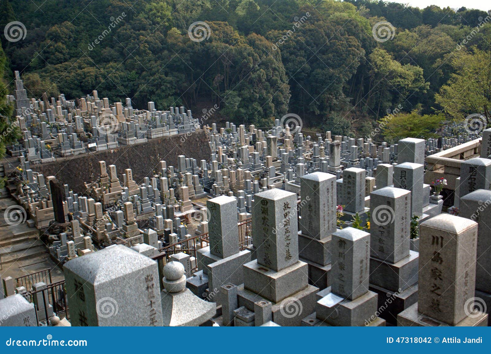 Buddhist Cemetery, Kyoto, Japan Editorial Photography - Image of ...