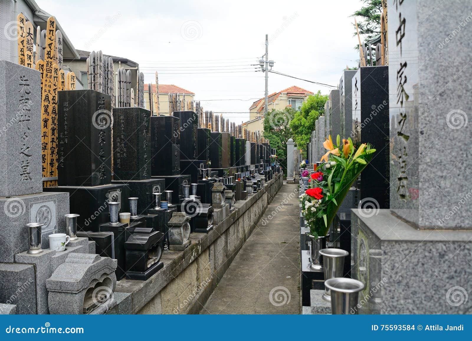 Buddhist Cemetery, Tokyo, Japan Editorial Stock Image - Image of ...